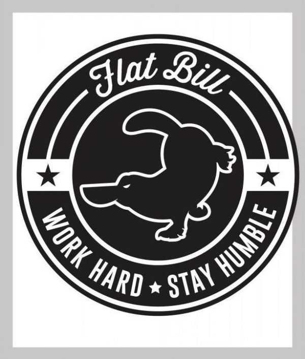 Flat Bill Baseball/THSB 3A Region II Outlook | Texas Highschool ...