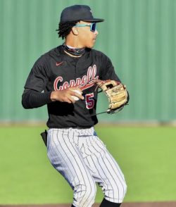 Texas High School Baseball – 5A | 4A | 3A | 2A official website